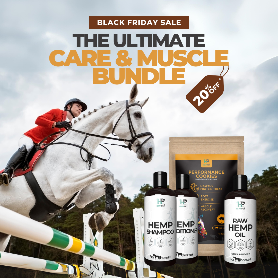 Products :: The Ultimate Care and Muscle Bundle for Horses